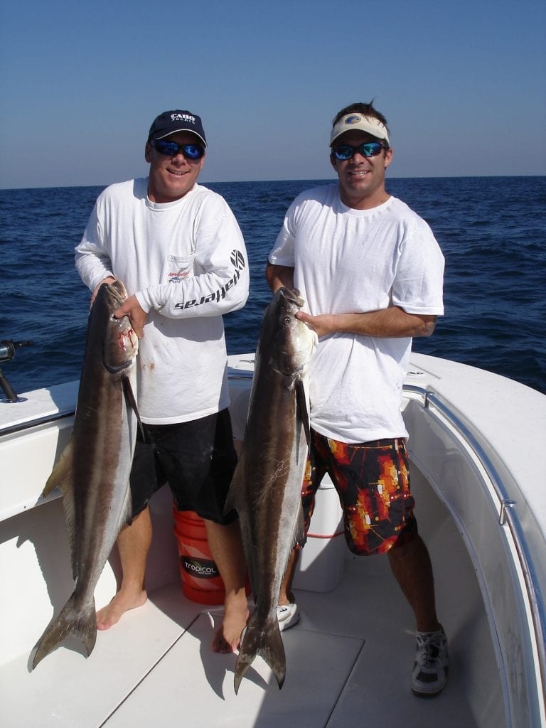 Cobia Fishing Pictures in Florida | FishEye Sportfishing