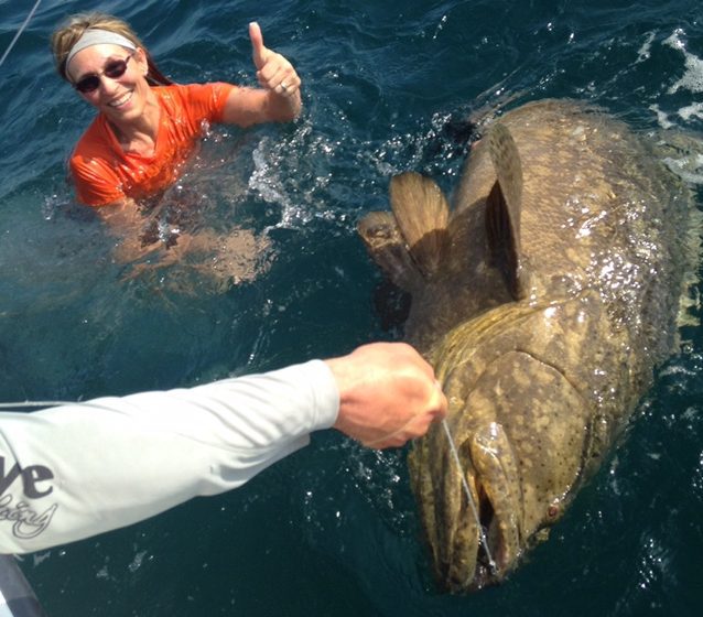 Goliath Grouper Fishing Charters Clearwater FL | FishEye Sportfishing