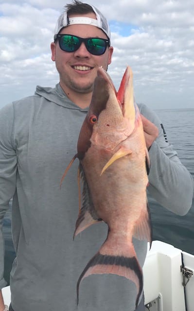 Hog Snapper Fishing Clearwater Beach FL | FishEye Sportfishing