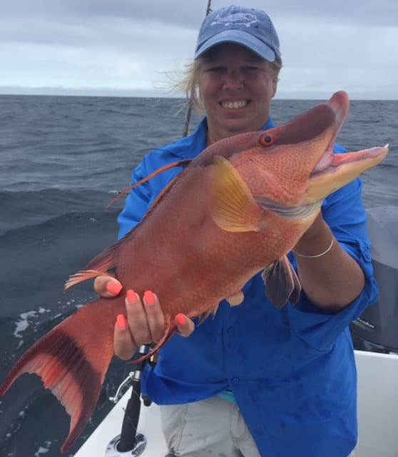 Hog Snapper Fishing Clearwater Beach FL | FishEye Sportfishing