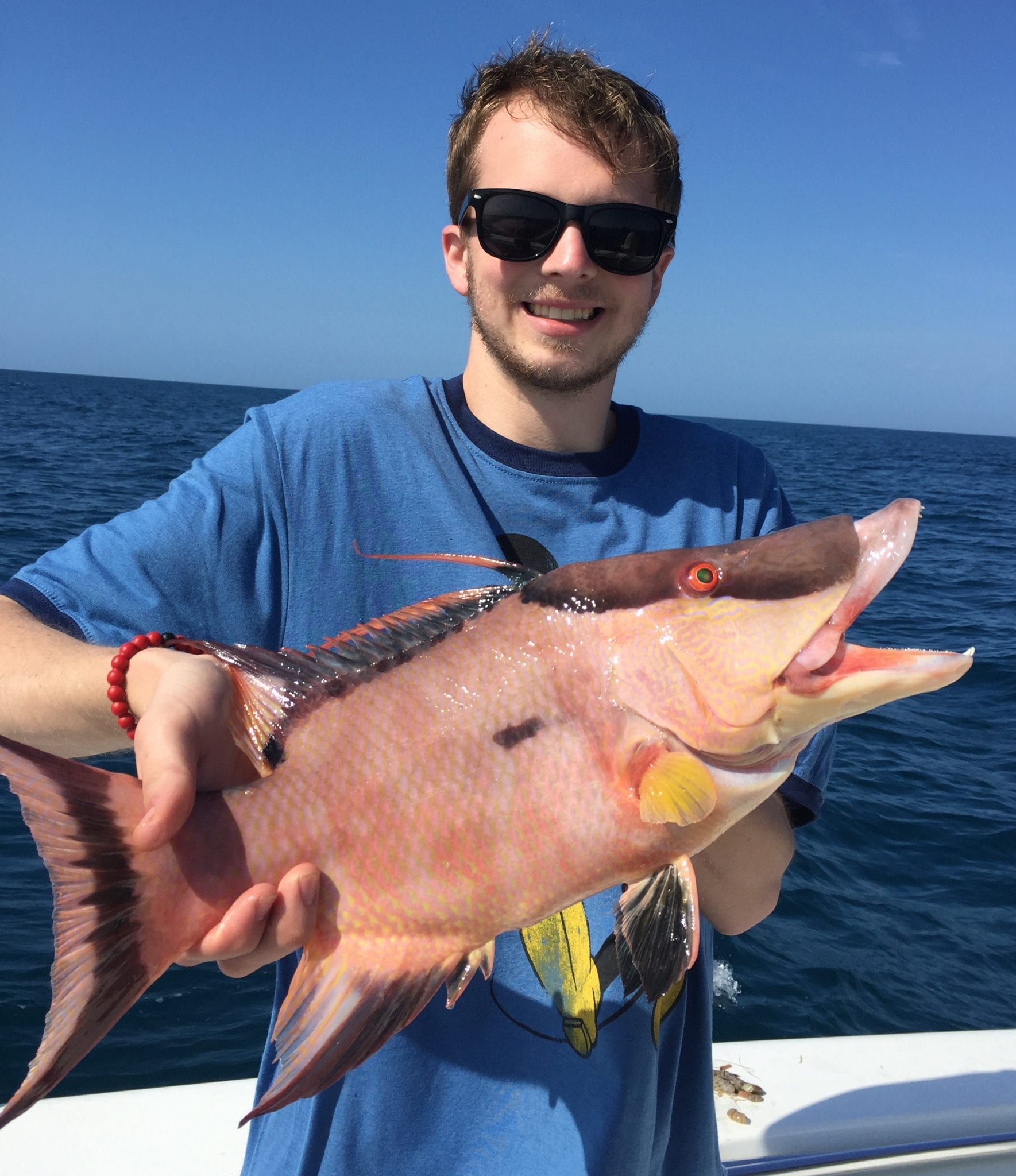 Hog Snapper Fishing Clearwater Beach FL | FishEye Sportfishing