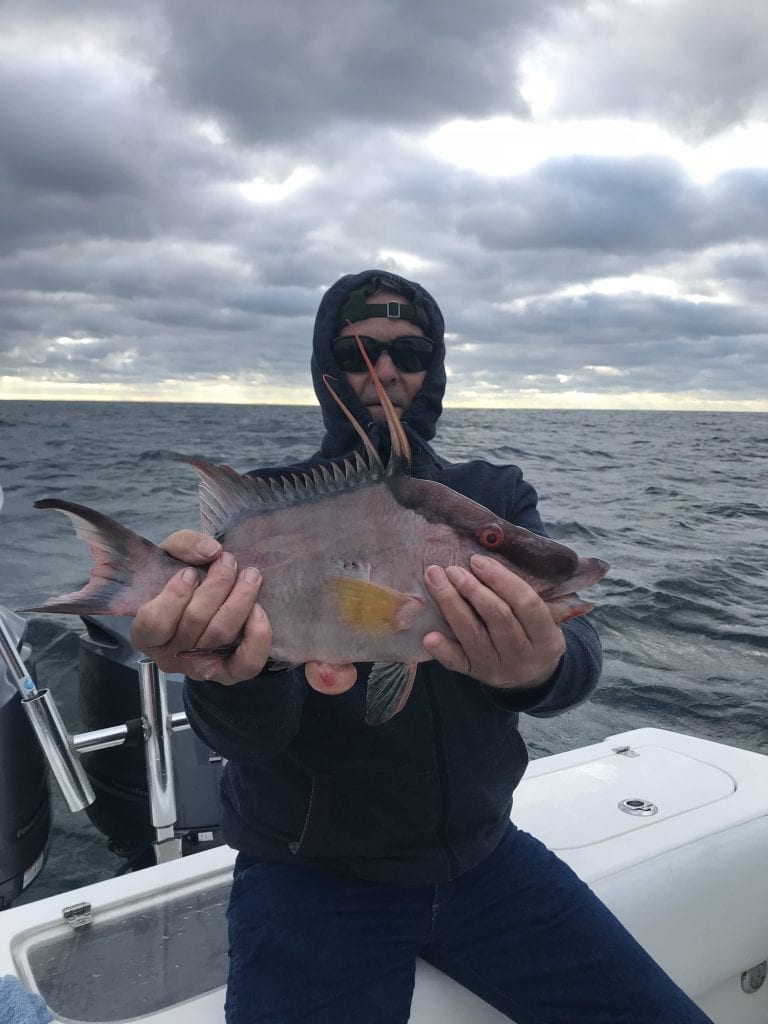 Hogfish Pictures | Hog Snapper | FishEye Sportfishing