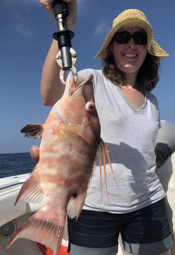 Hogfish Pictures | Hog Snapper | FishEye Sportfishing