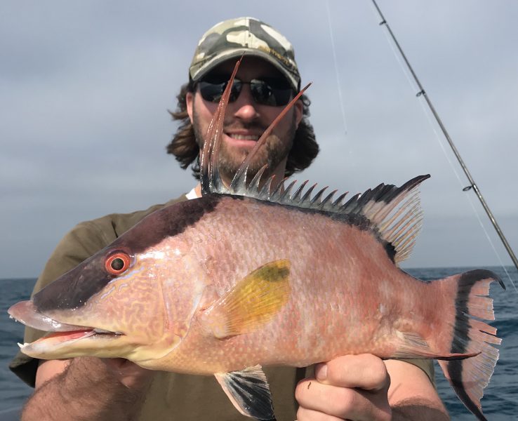 Hog Snapper Fishing Clearwater Beach FL | FishEye Sportfishing