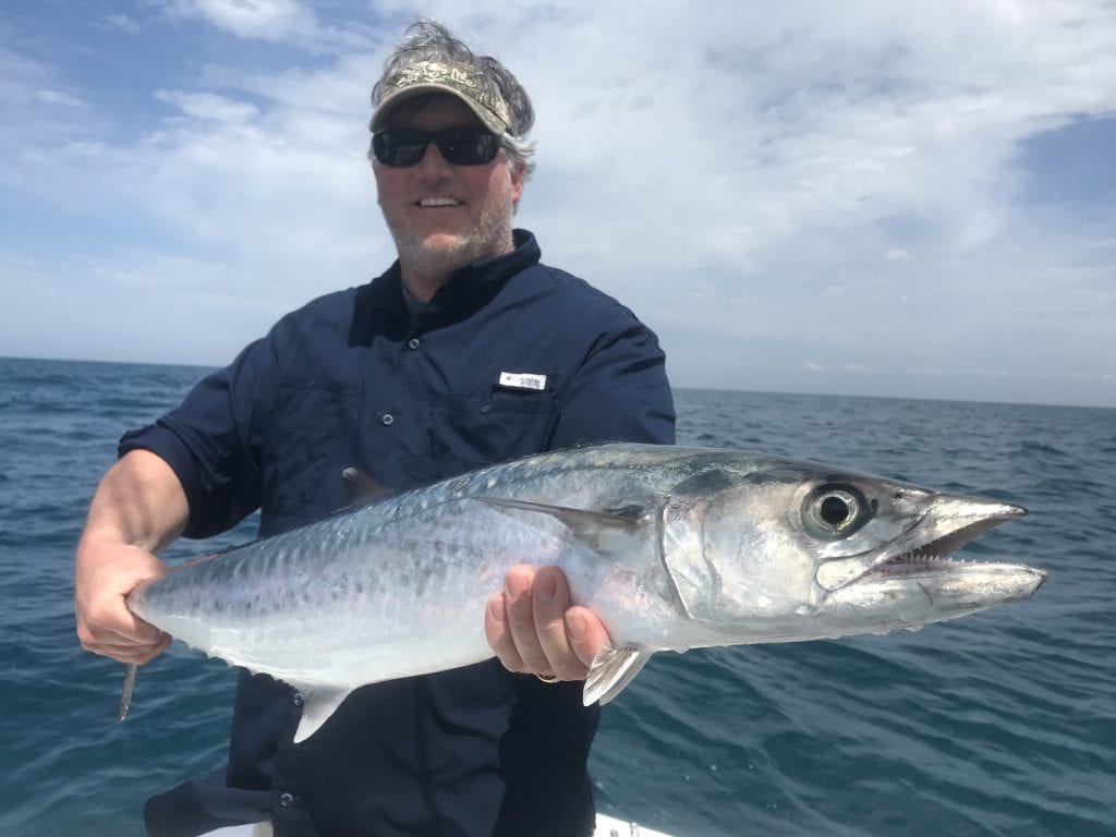 Kingfish Caught in Clearwater FL | FishEye Sportfishing