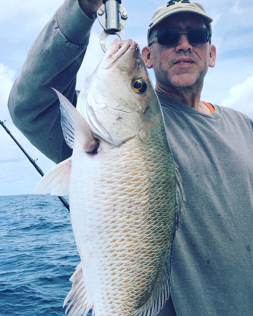 Mangrove Snapper Pictures | FishEye Sportfishing
