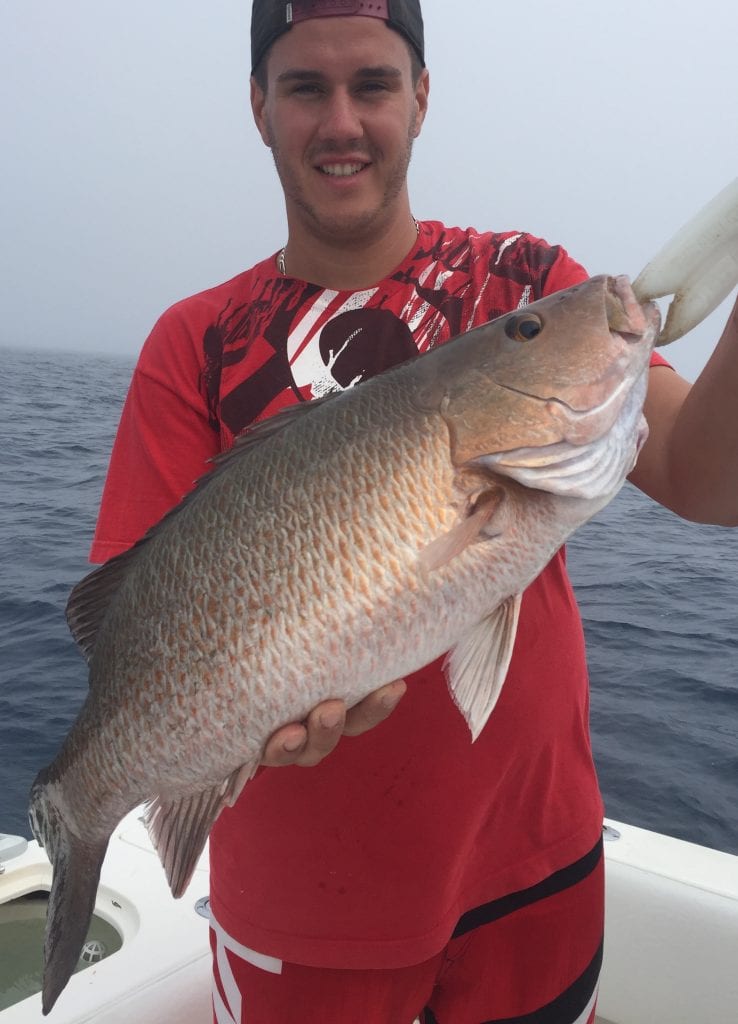 Mangrove Snapper Pictures | FishEye Sportfishing